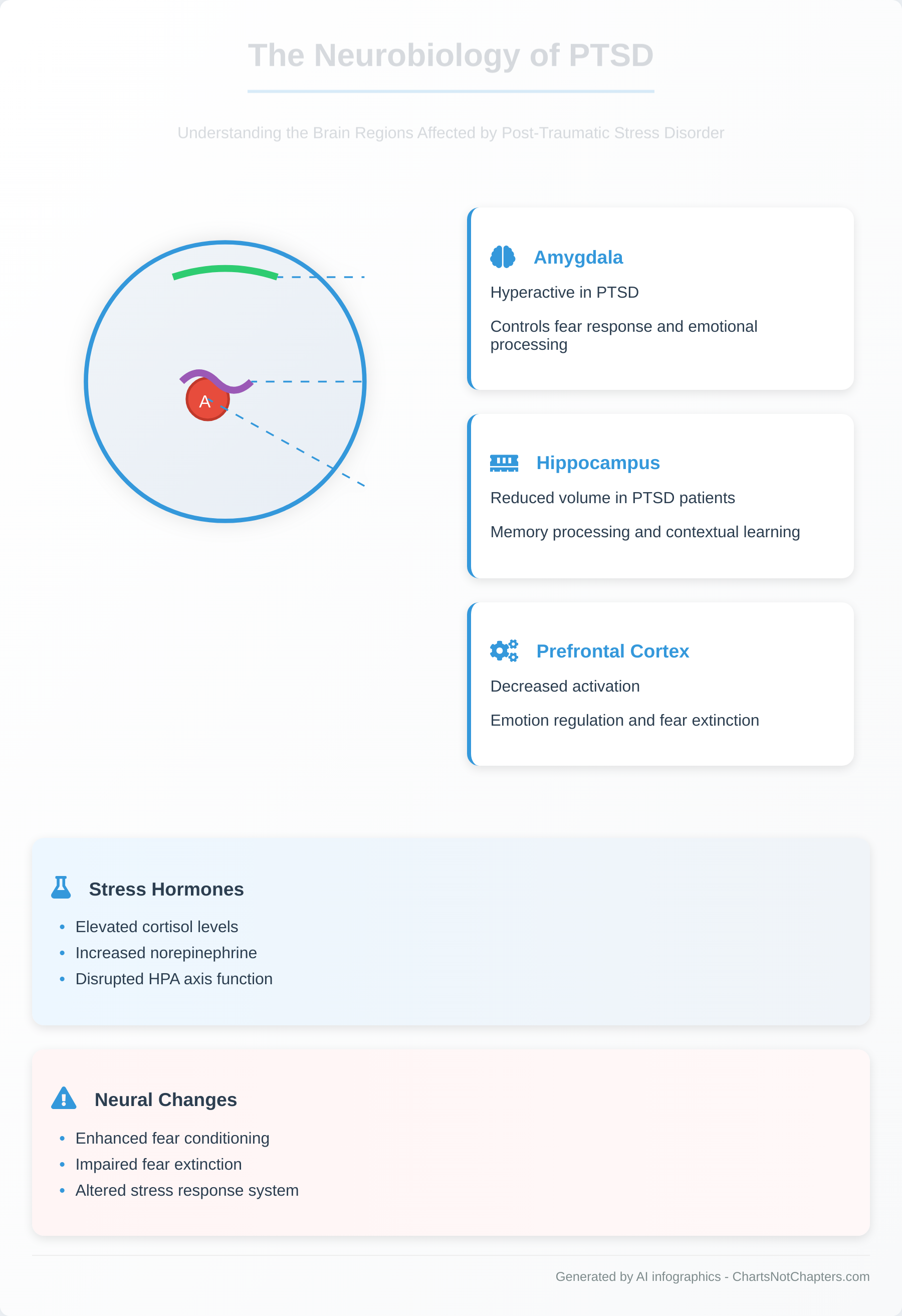 Understanding PTSD: 5 Comprehensive Infographics Covering All Essential ...
